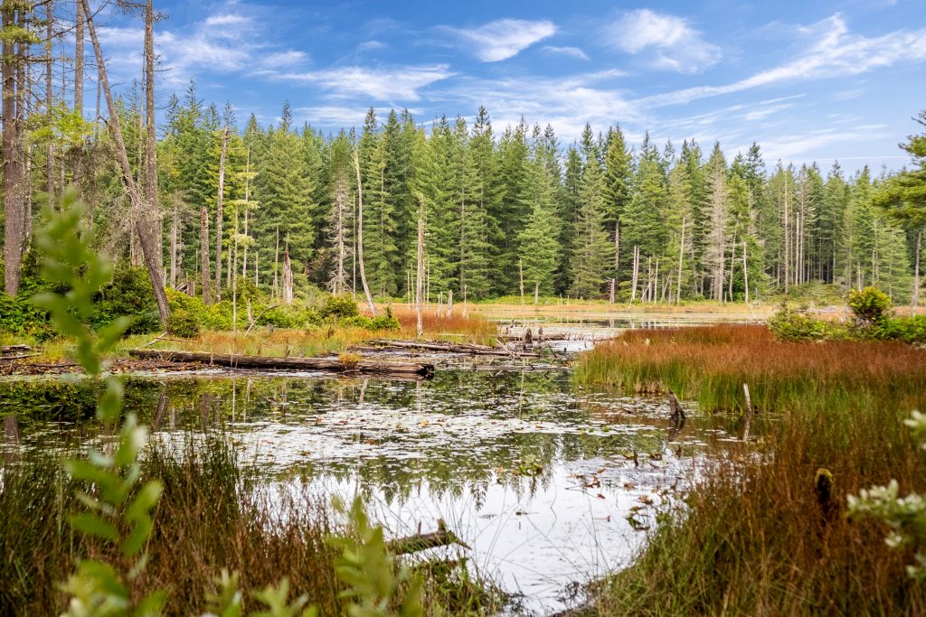 Get Outdoors at McCormick - Live at McCormick